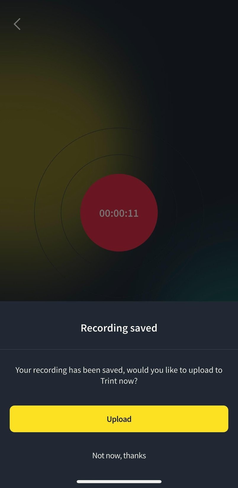 What is Trint's mobile app?